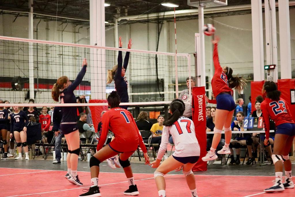 NVPL | Photos | Metro Volleyball Club of DC