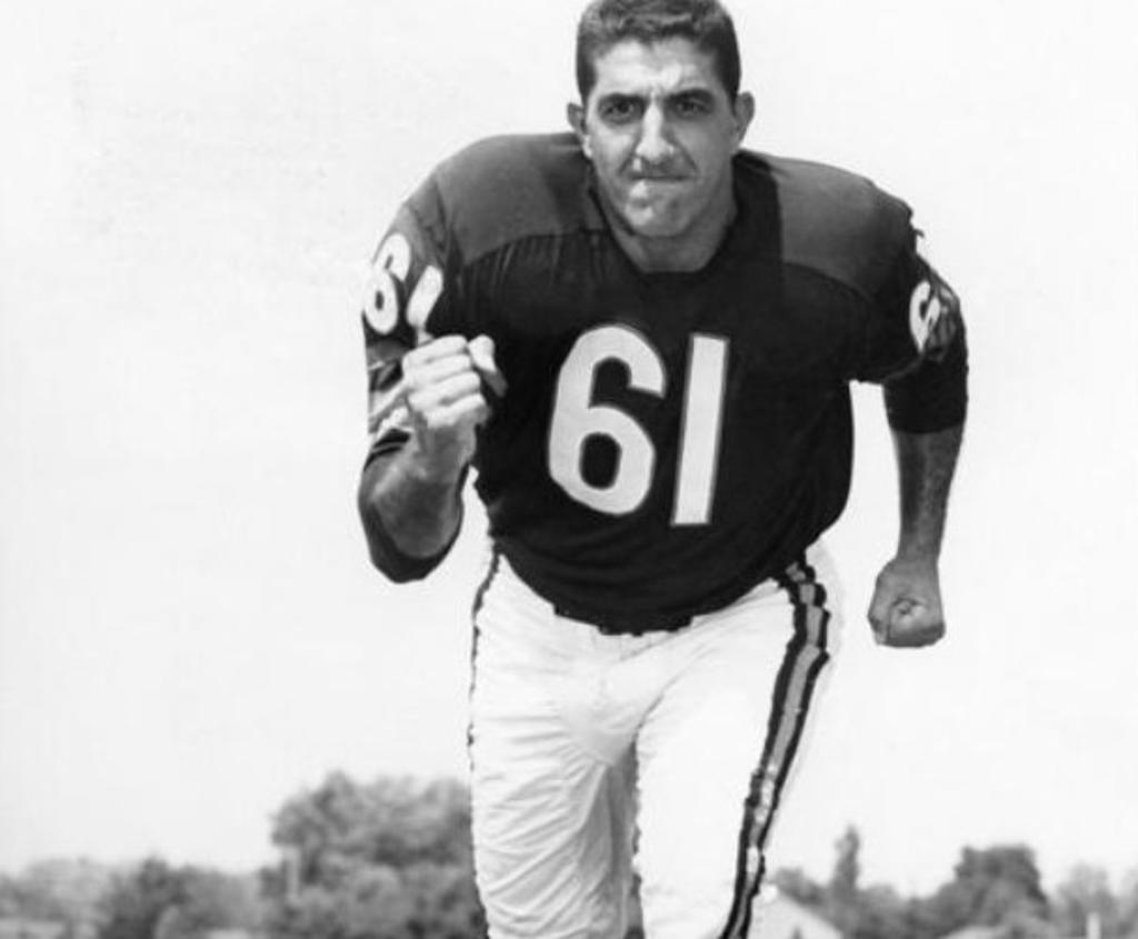 Bill George Youth Football League (BGYFL) Info, Standings & Schedule