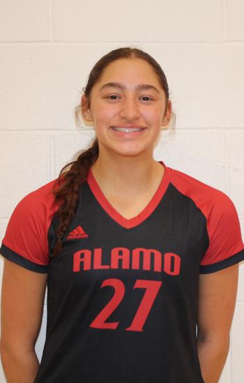 Alamo 17 Premier