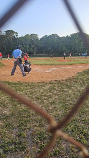 Pinellas County Youth Baseball