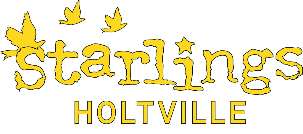 Starlings Holtville