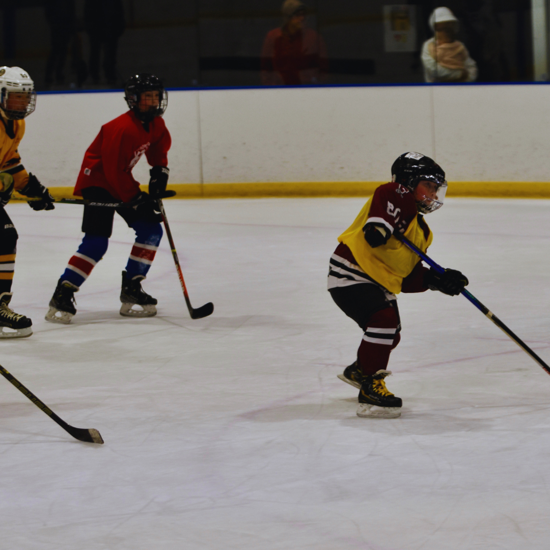Adaptive Hockey