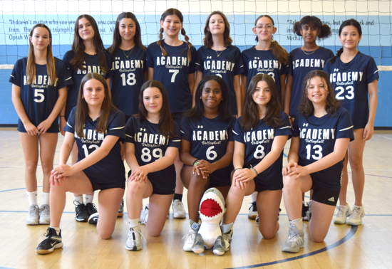 13 Blue Team