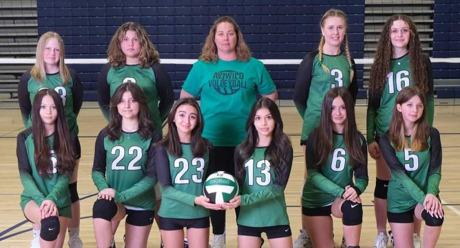 AZ Wild Volleyball Club