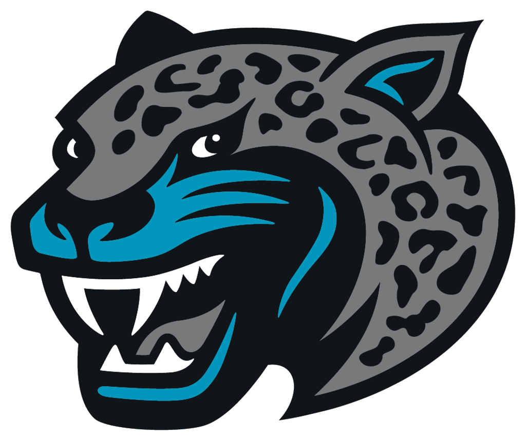 Seckinger Athletic Association