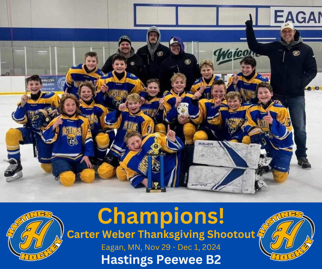 Hastings Hockey Trophy Case