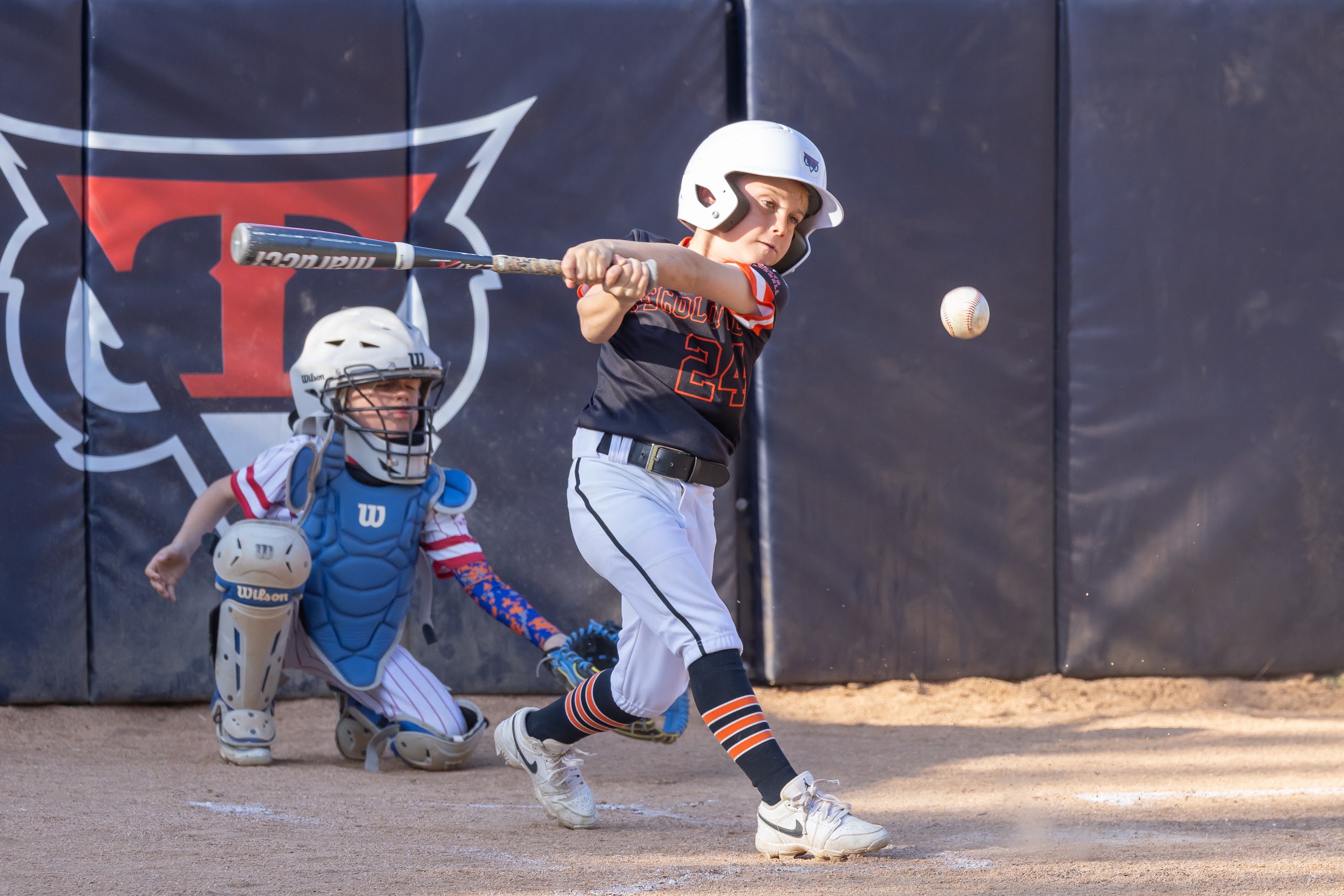 Tecolote Youth Baseball
