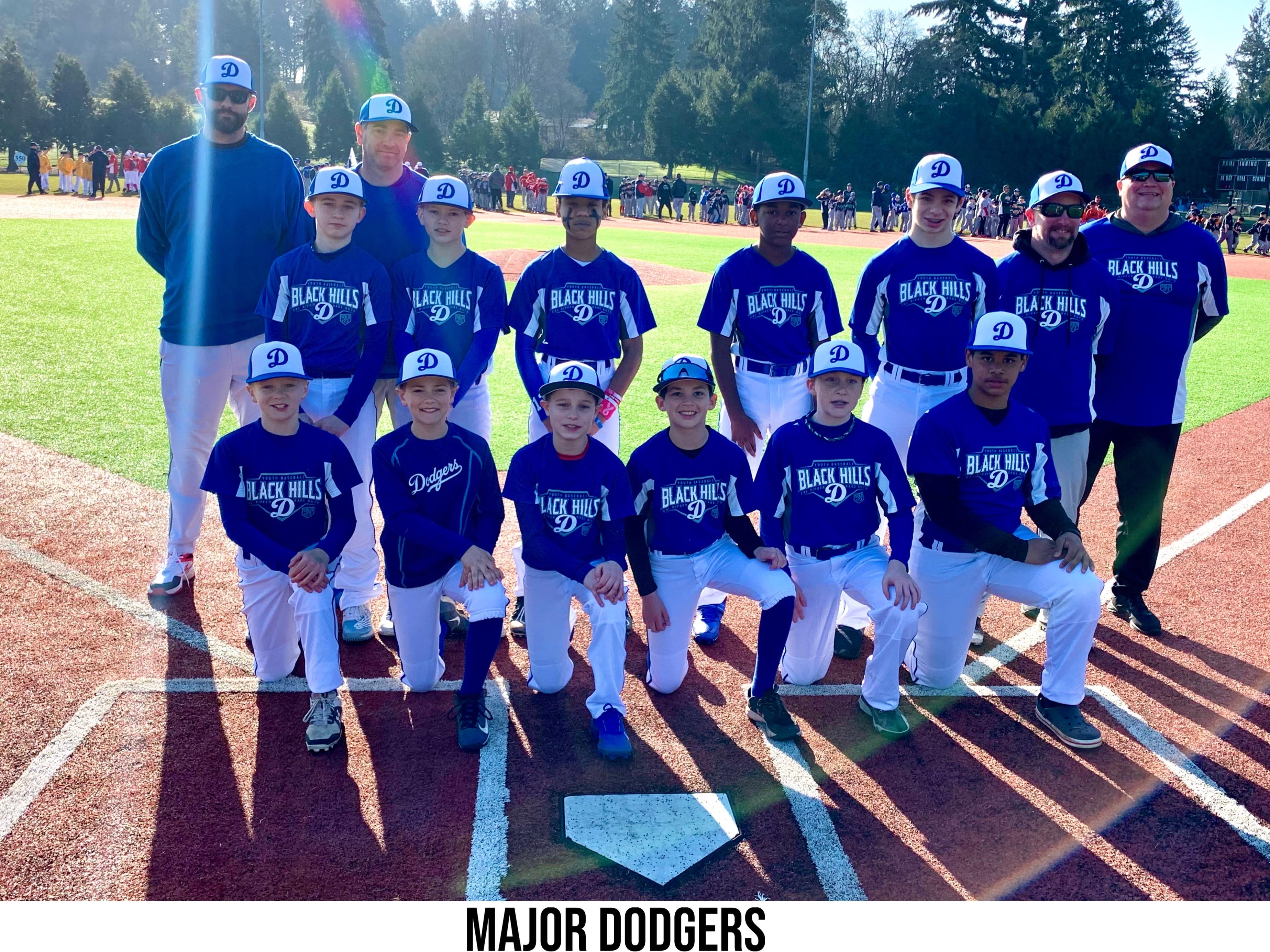 Black Hills Youth Baseball