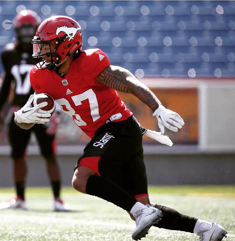 Welcome to Sports Prep Hall of Champions