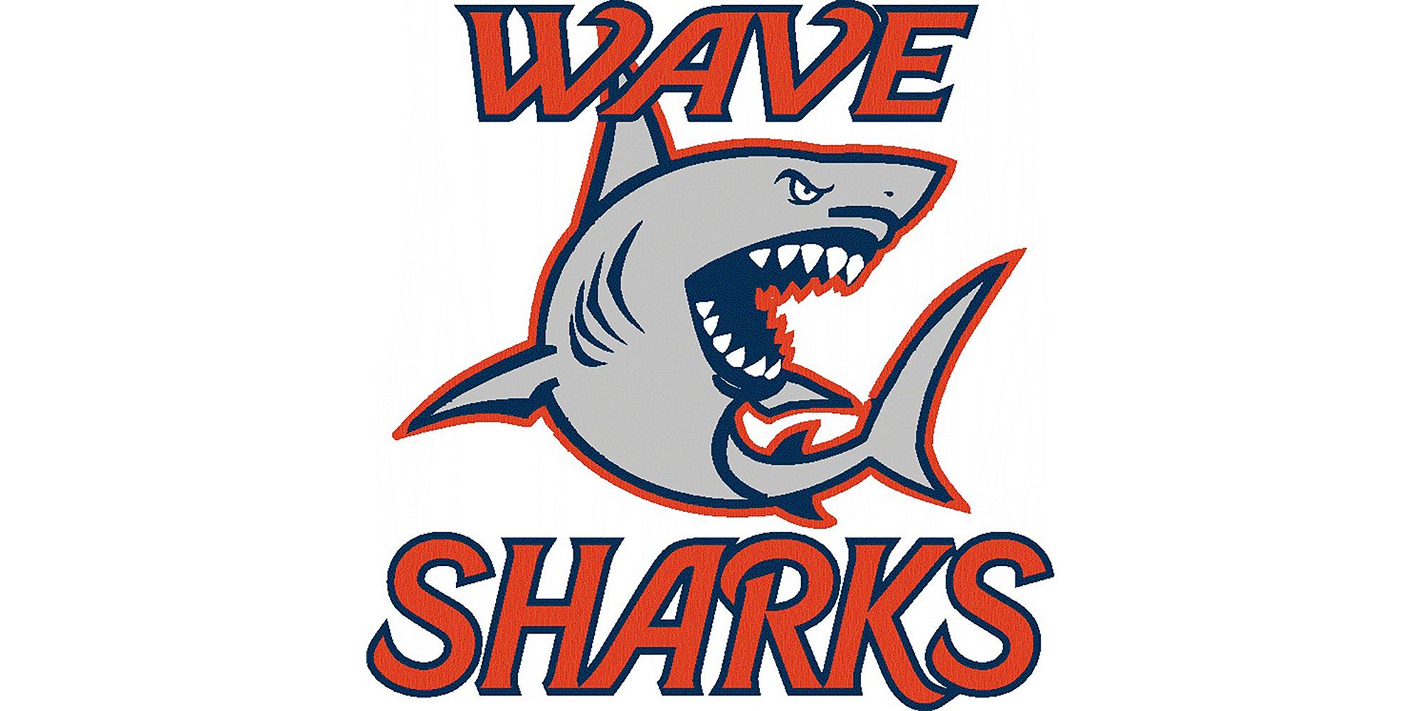 Wave Volleyball Club