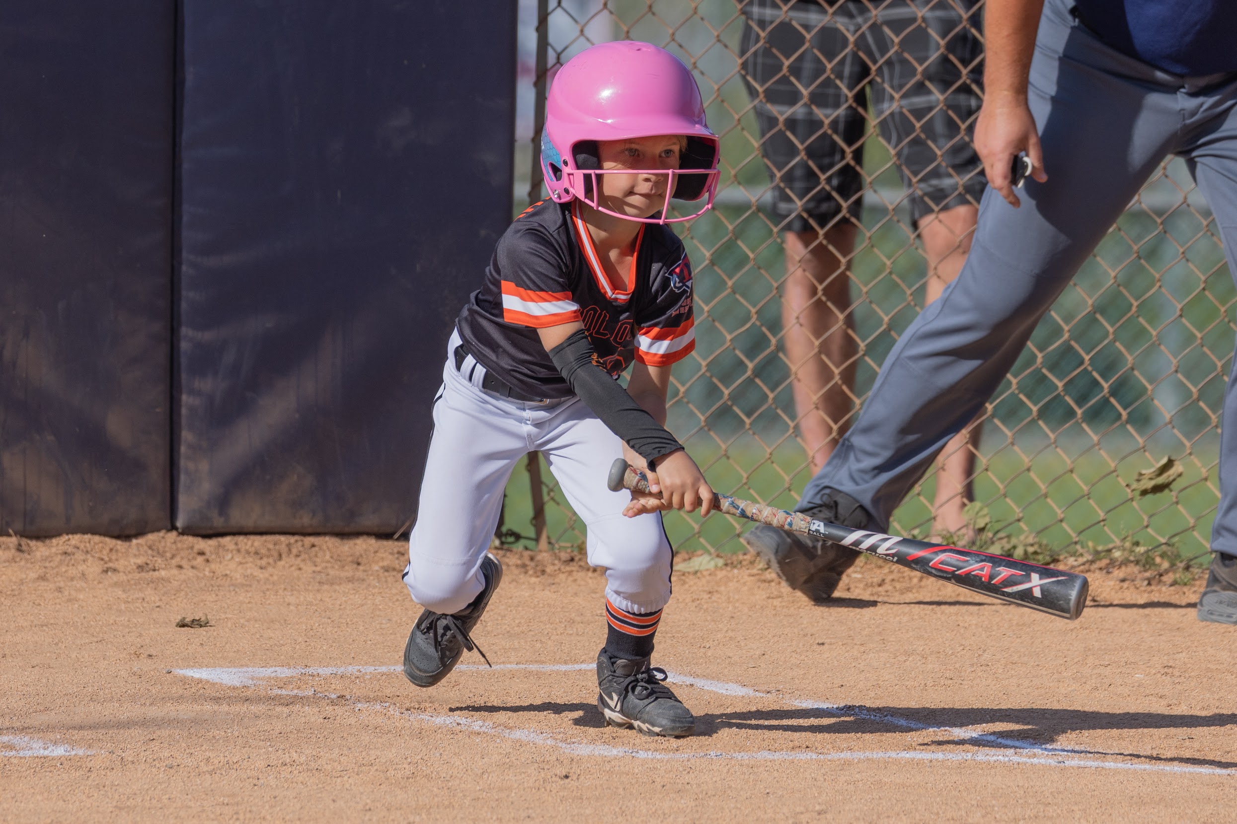 Tecolote Youth Baseball