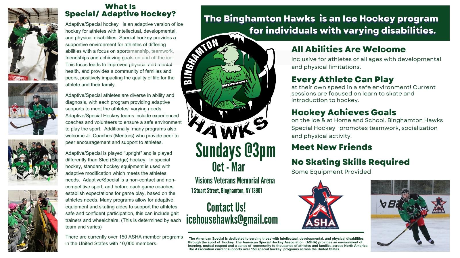 Binghamton Hawks
