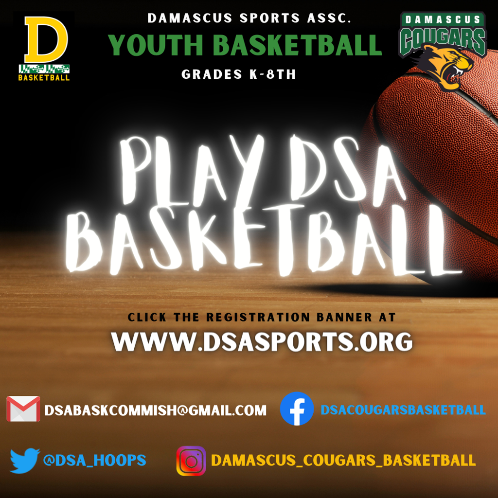 Play DSA Basketball