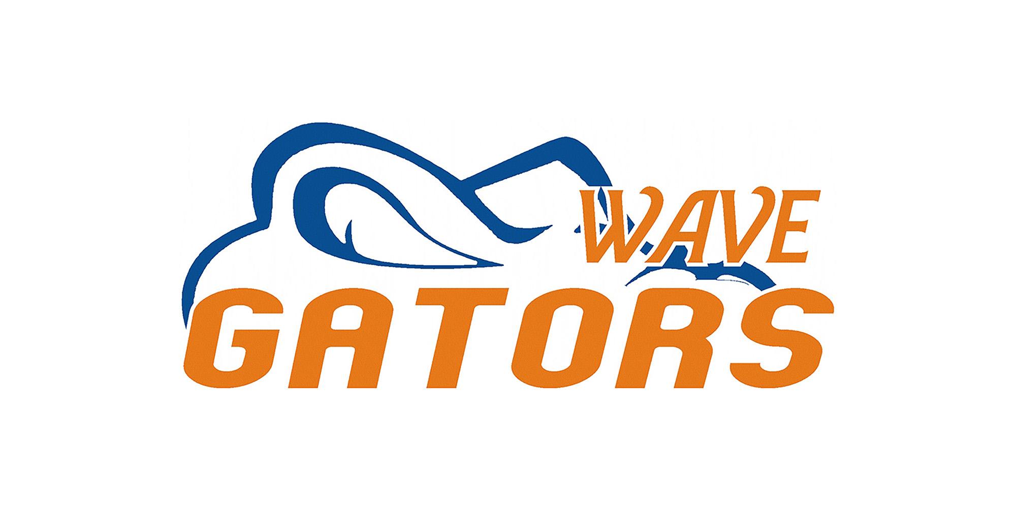 Wave Volleyball Club