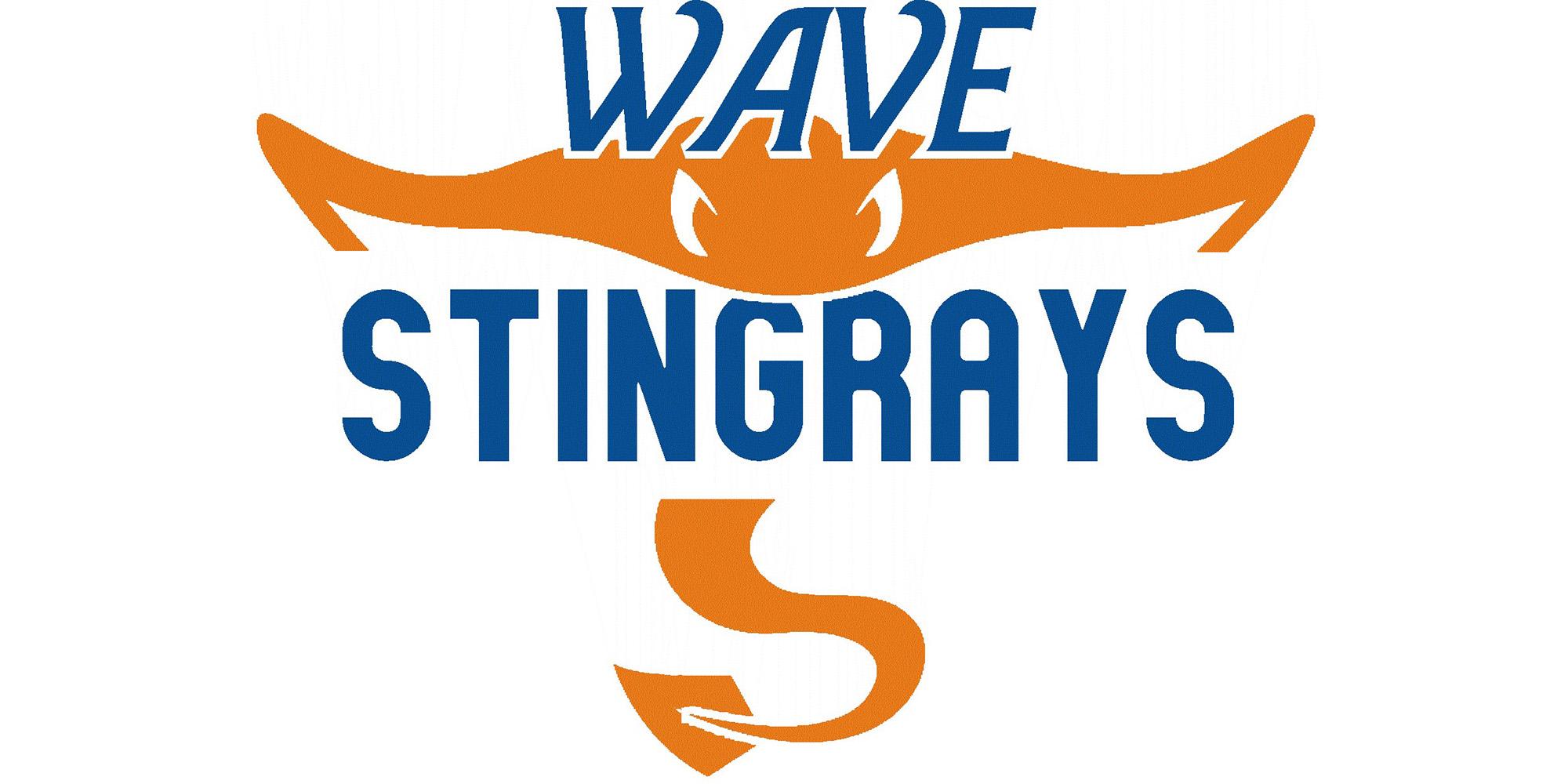 Wave Volleyball Club