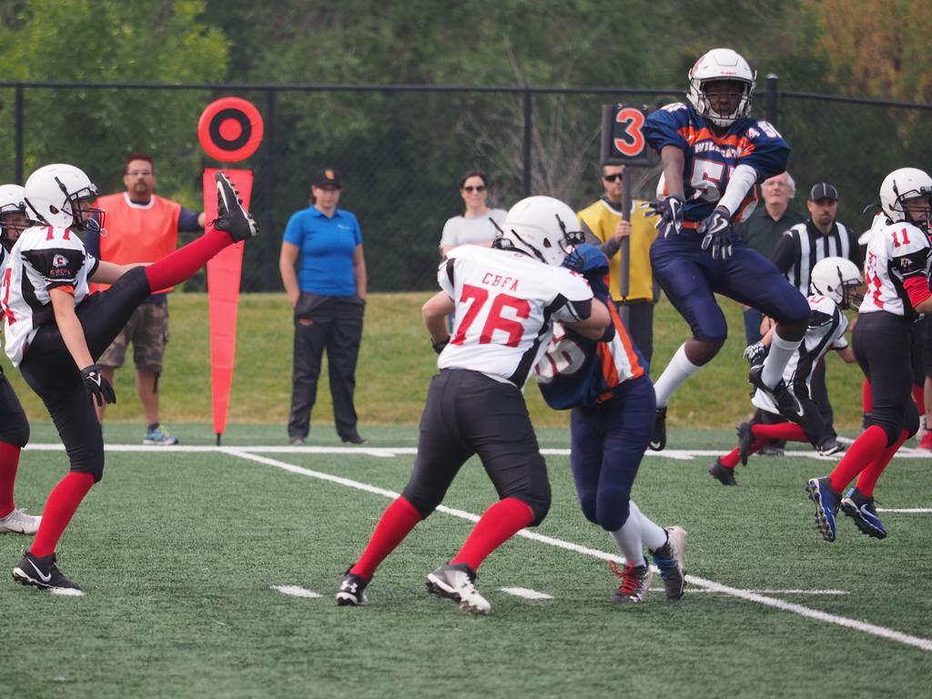 Calgary Wildcats Football