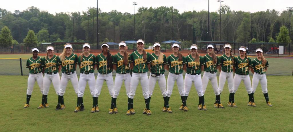 About the Atlanta Vipers