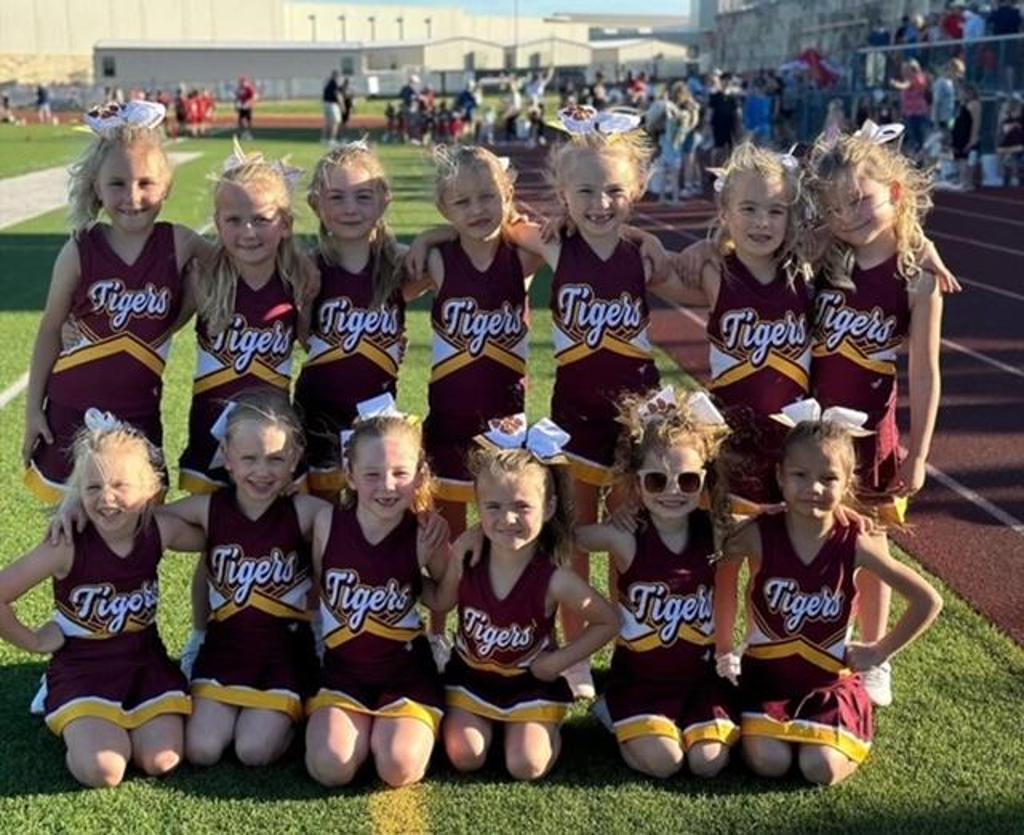 Welcome to DSYSA Cheerleading!