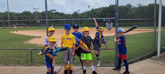 Pinellas County Youth Baseball