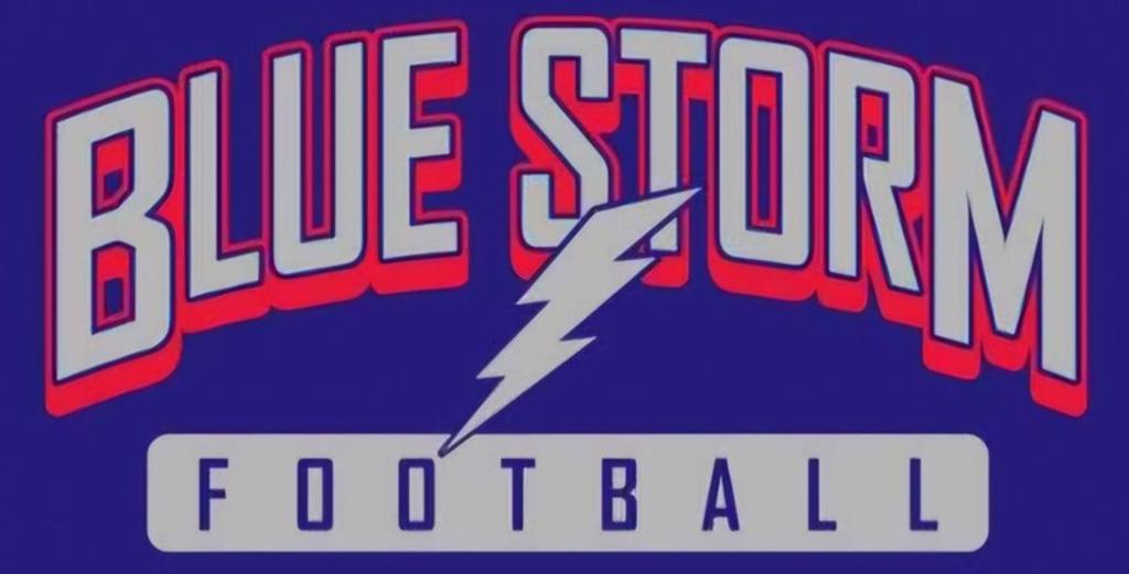 Blue Storm Board Meetings