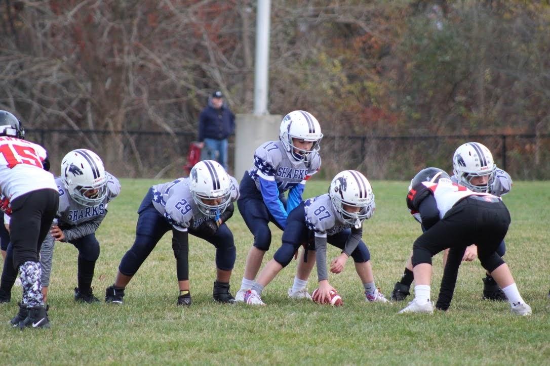 Long Island Sound Sharks Football