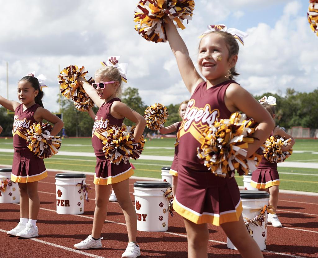 Welcome to DSYSA Cheerleading!