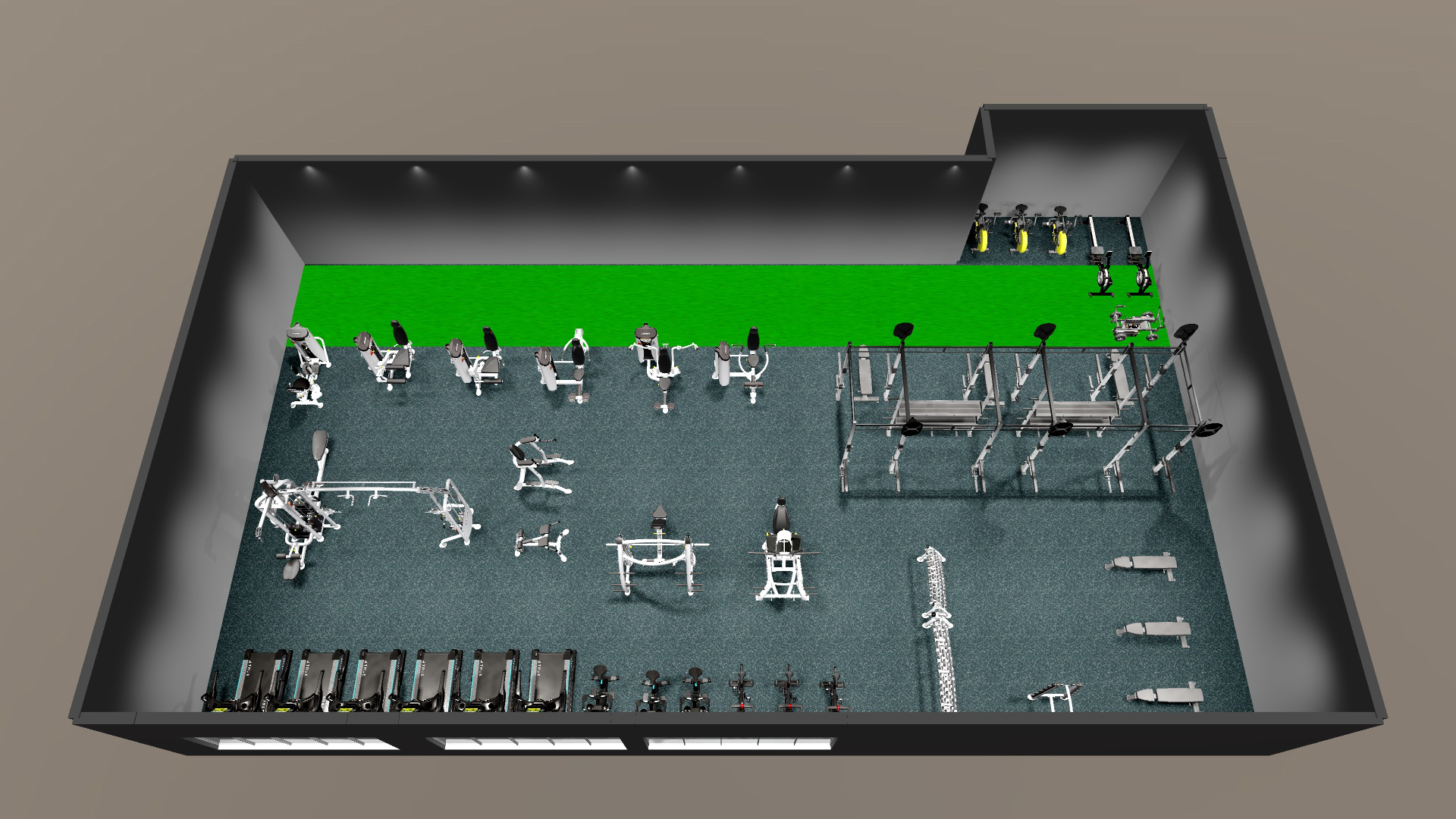 Strength & Conditioning