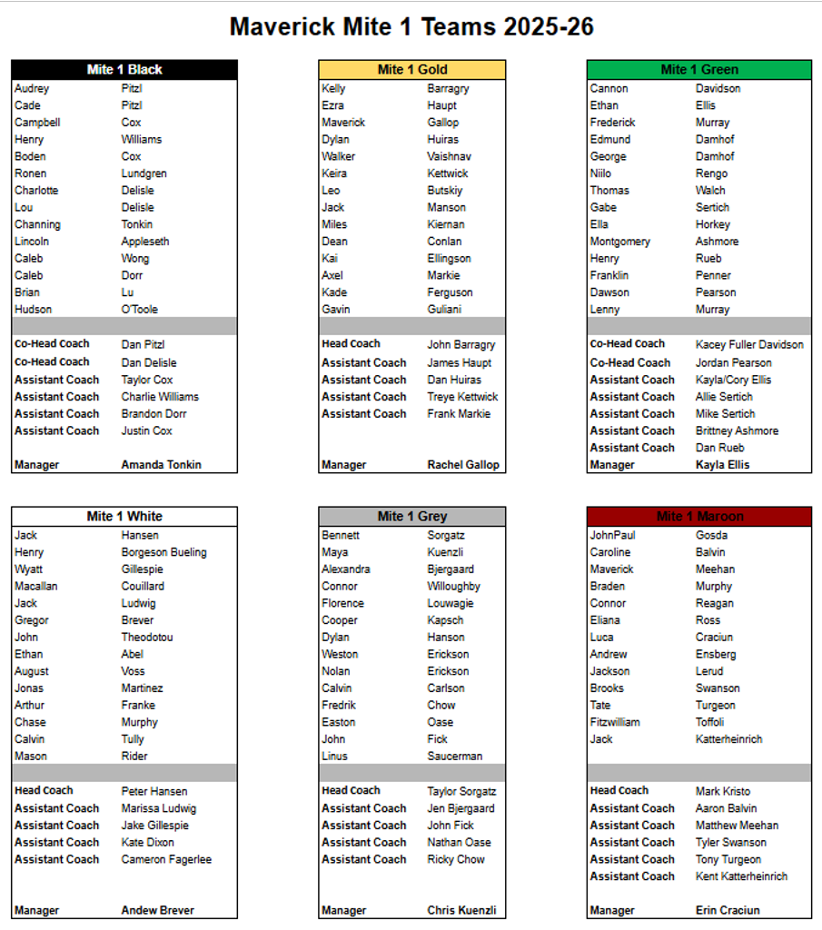 Mite 1 Program