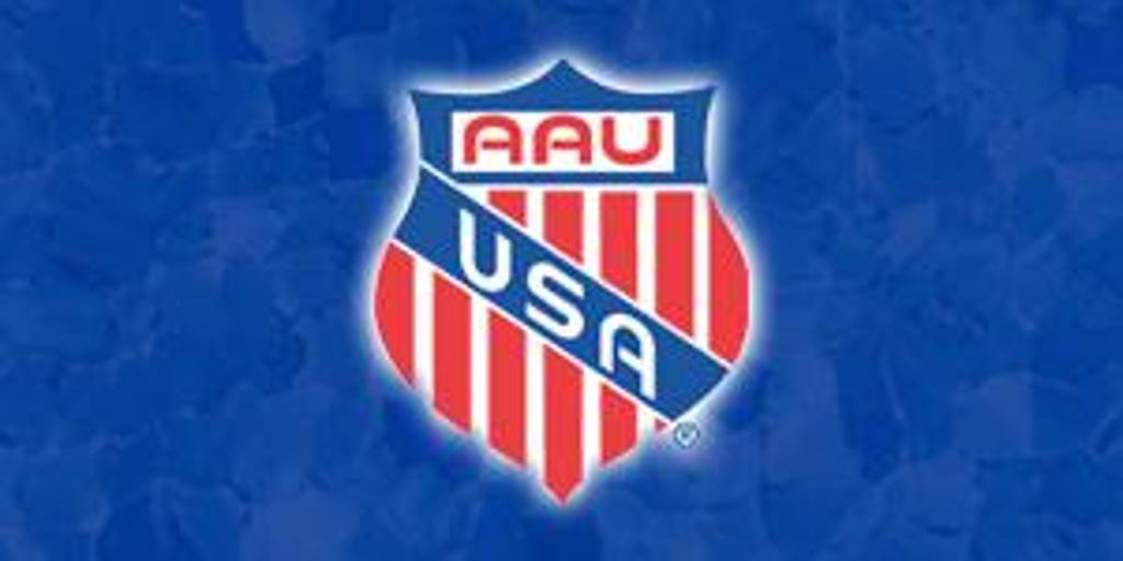 All Playoff Tournament Team (10u)