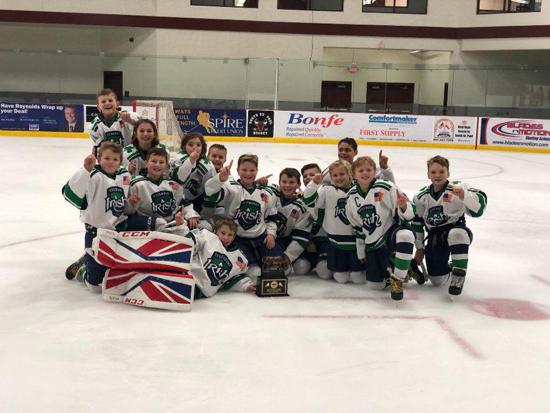 Rosemount Area Hockey Association