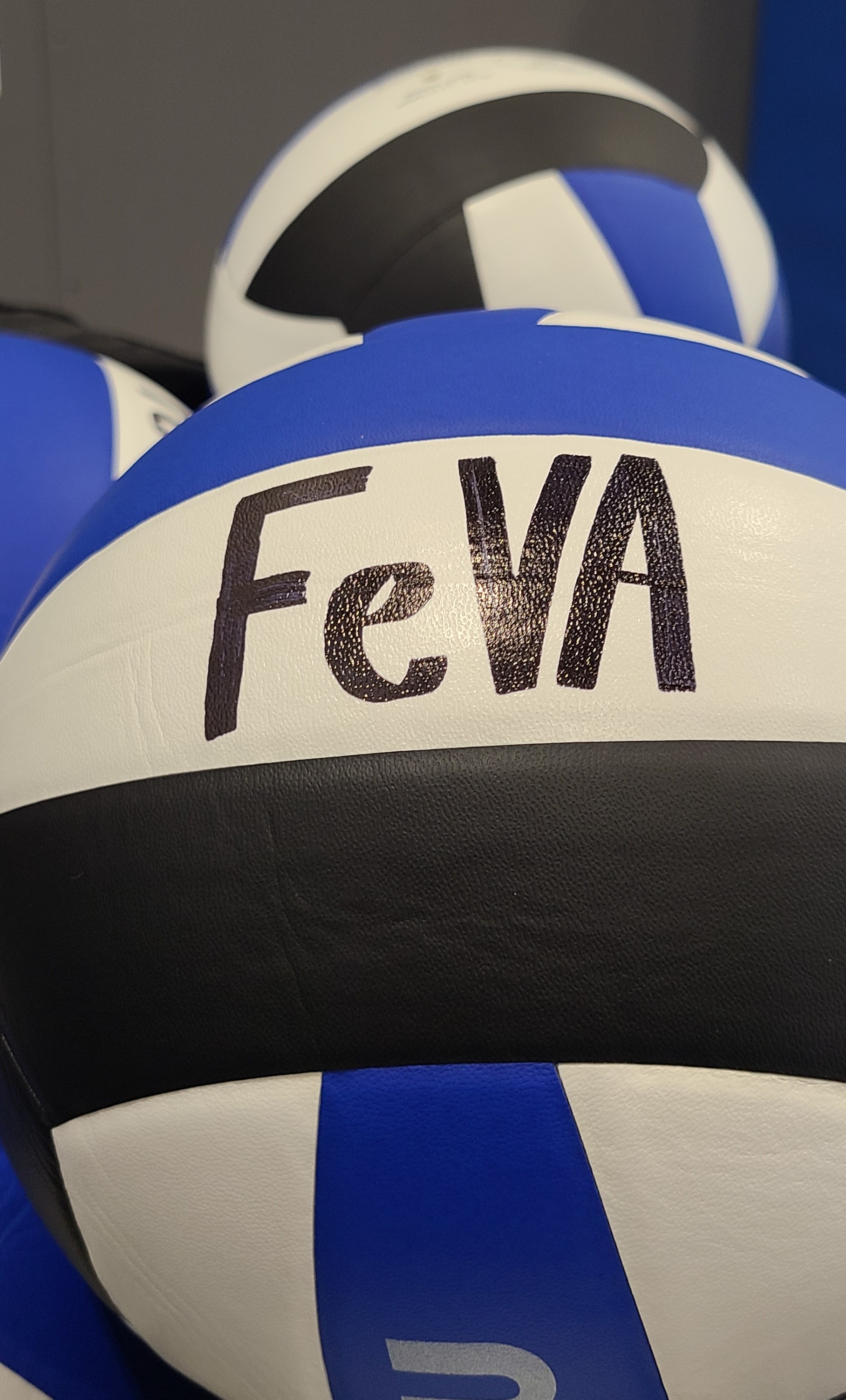 Features Volleyball Academy