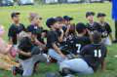 Franklin Park Vipers Youth Baseball and Softball