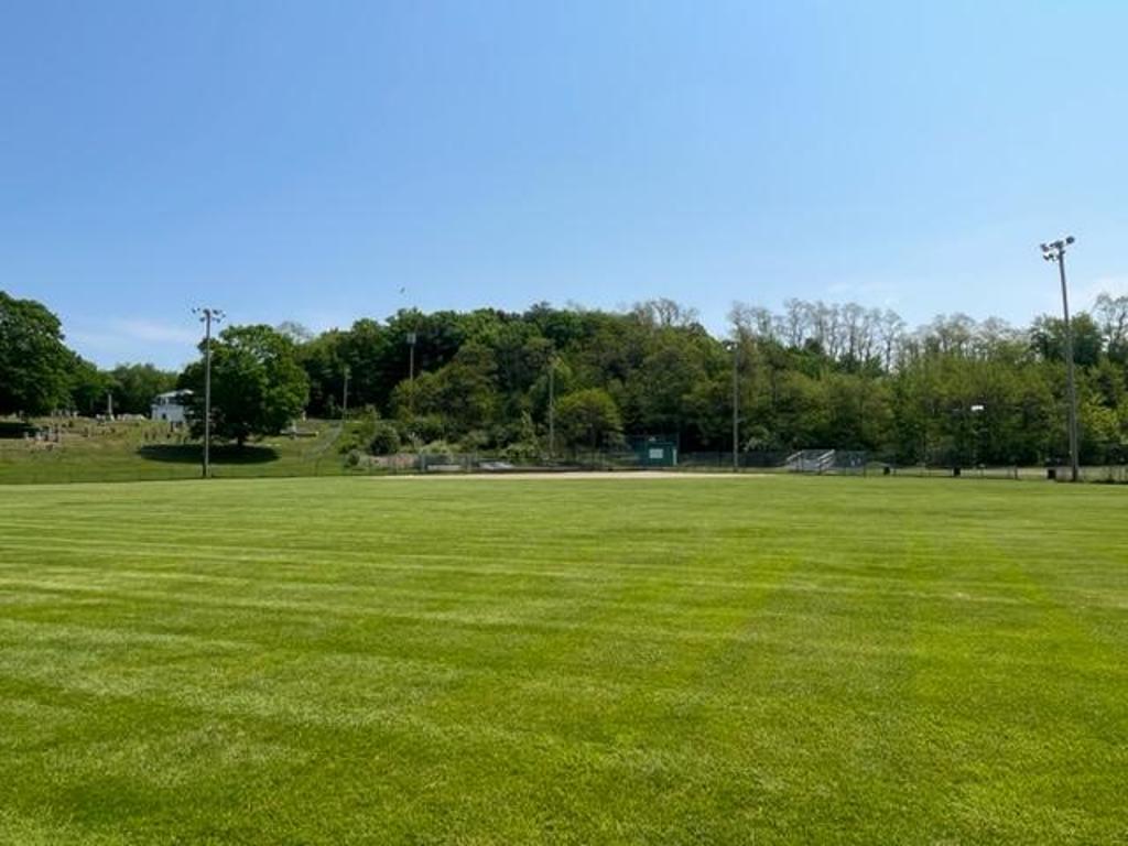 Fields