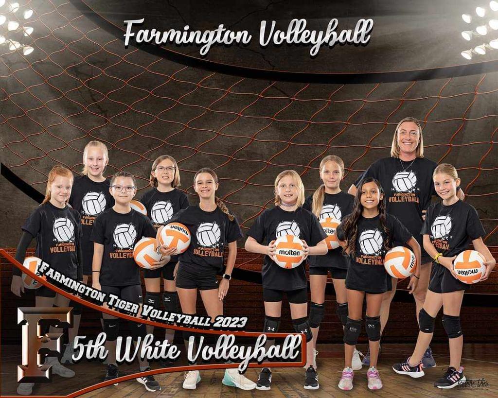 Fall Volleyball League