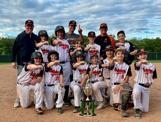 Troy Bulldogs Baseball