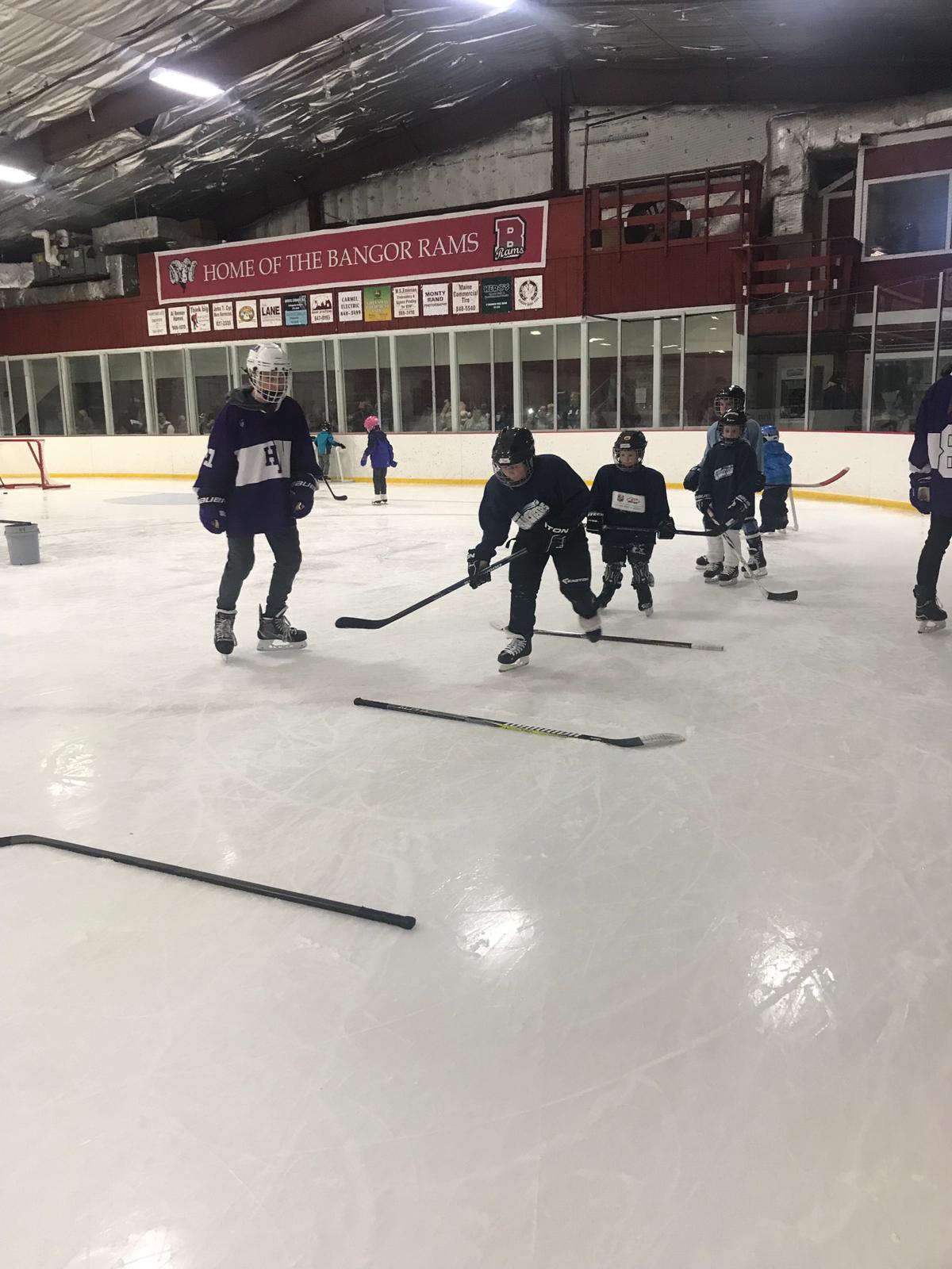 Learn to Skate and Play