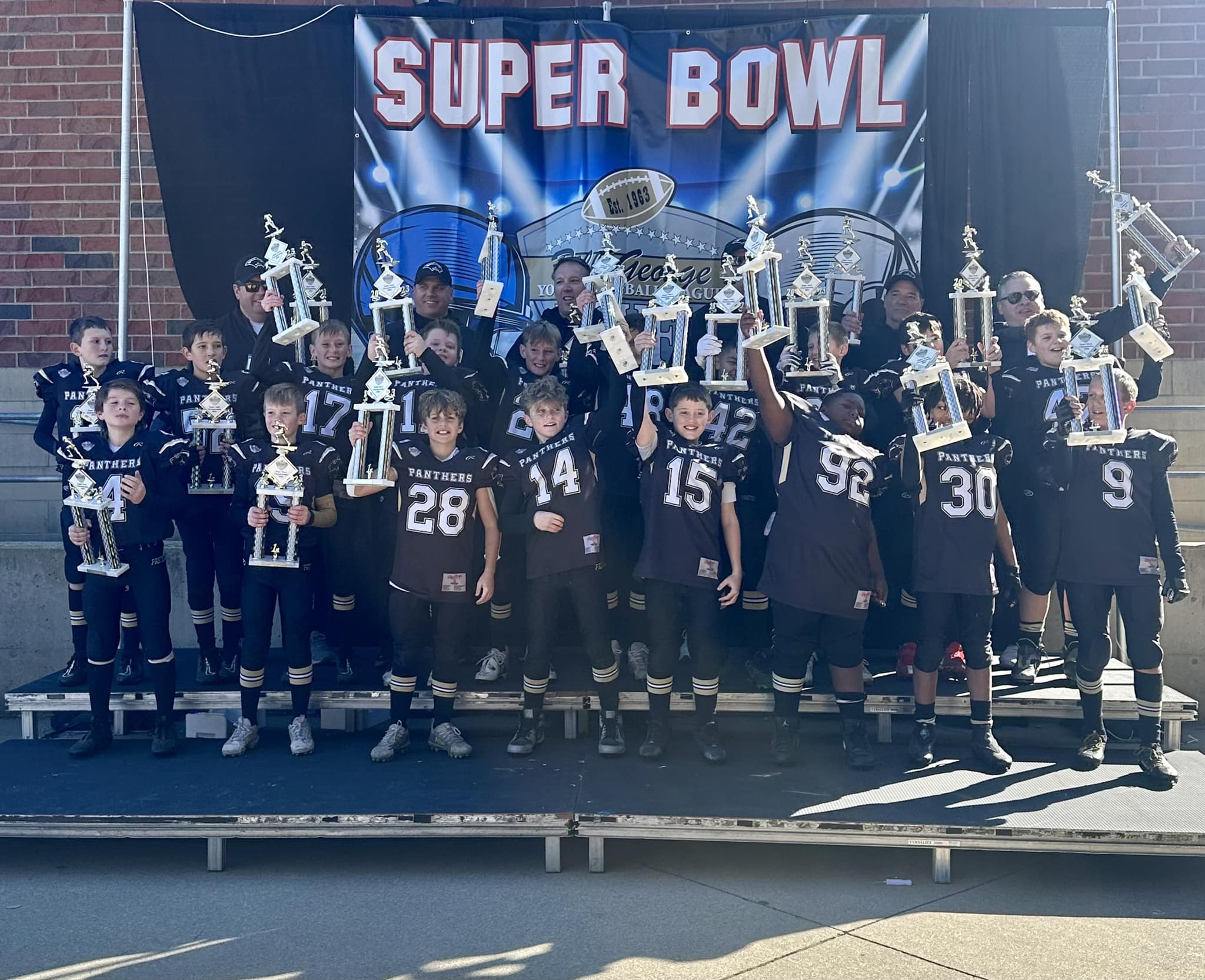 Palatine Amateur Football Association