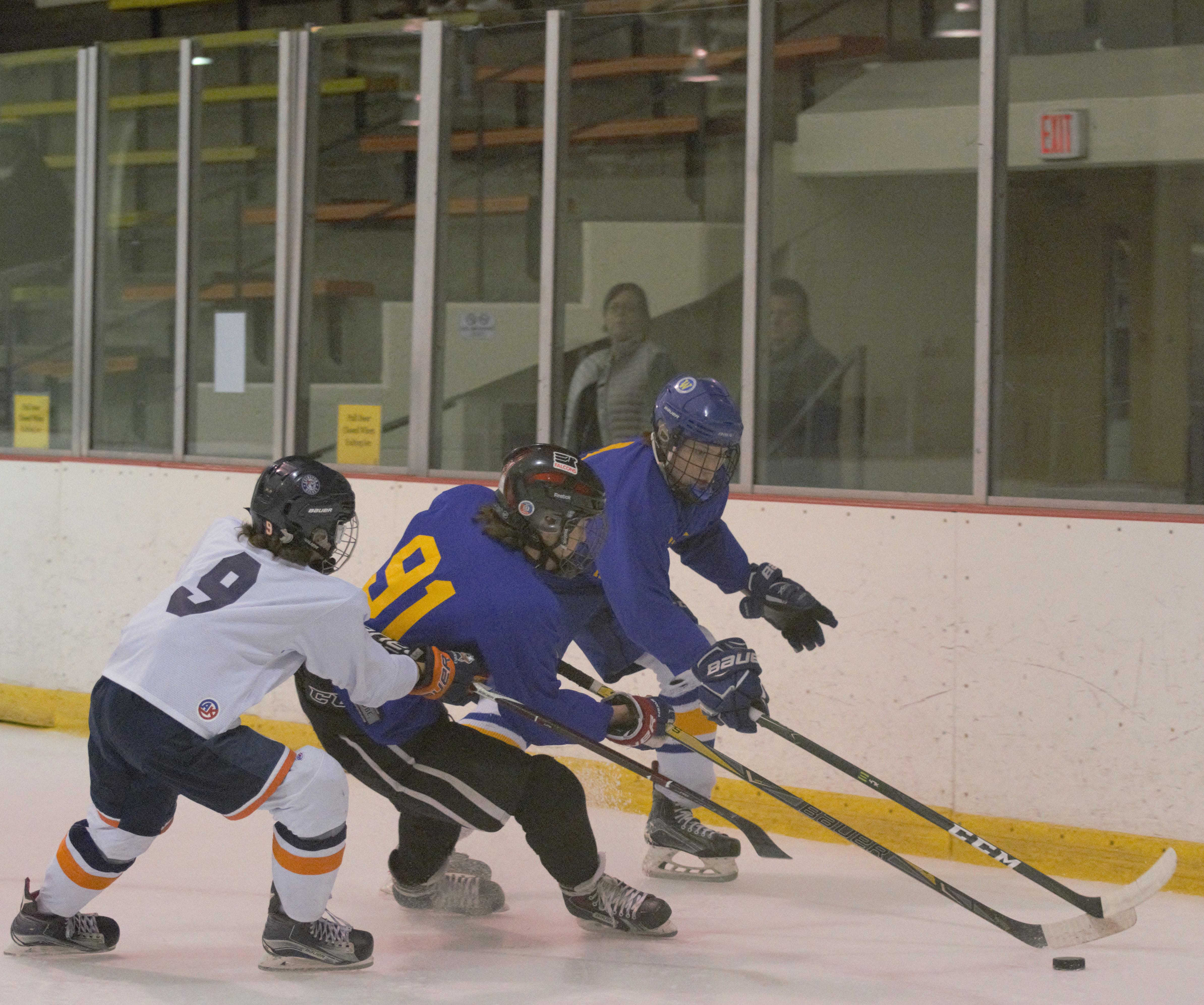 Warren Blue Devils Hockey