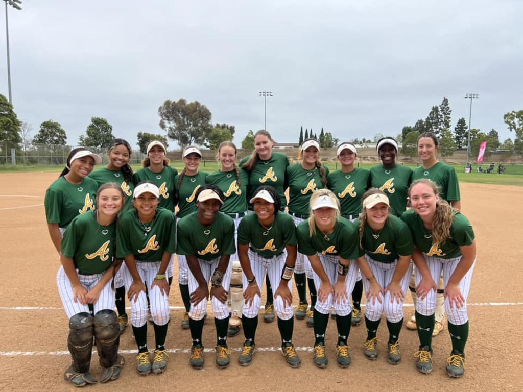 About the Atlanta Vipers