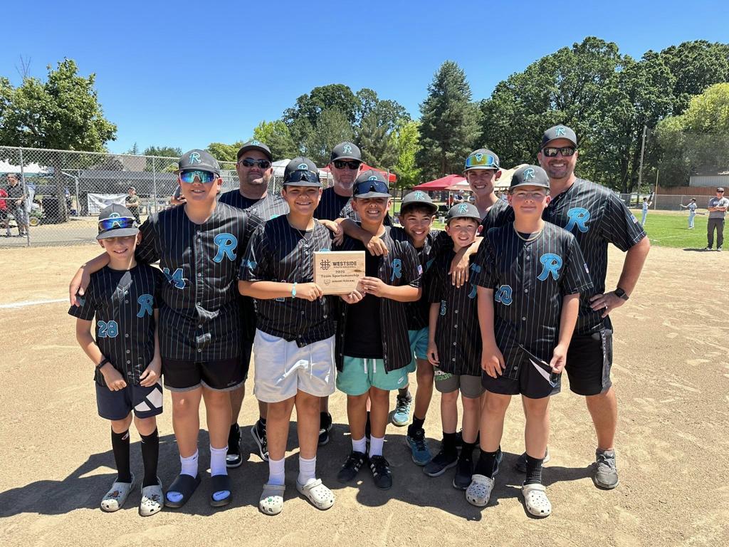 Competitive Baseball Programs