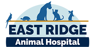 East Ridge Parks and Rec Hosted Events