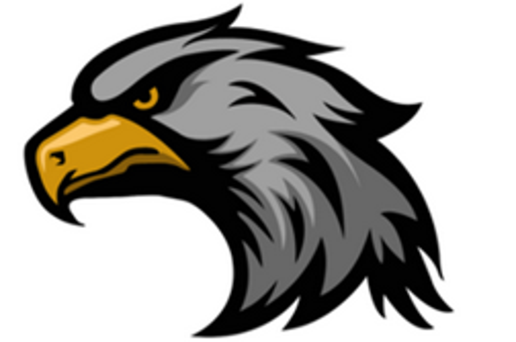 Who are the New Lenox Lightning - STC