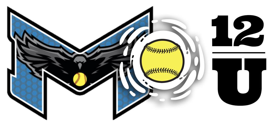 2024 Michigan Blackhawks Teams