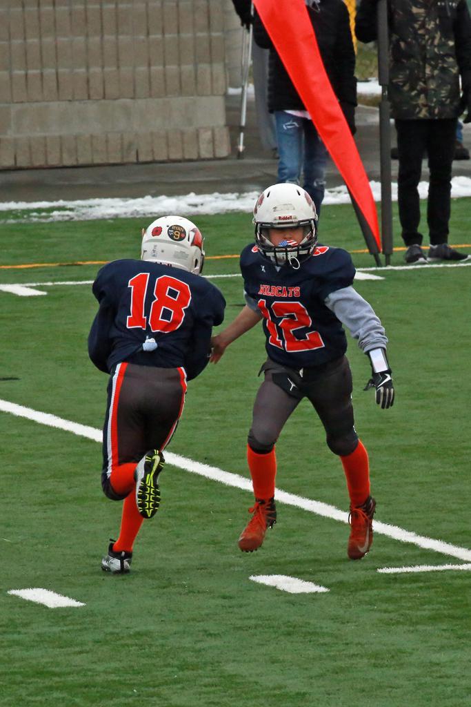 Calgary Wildcats Football