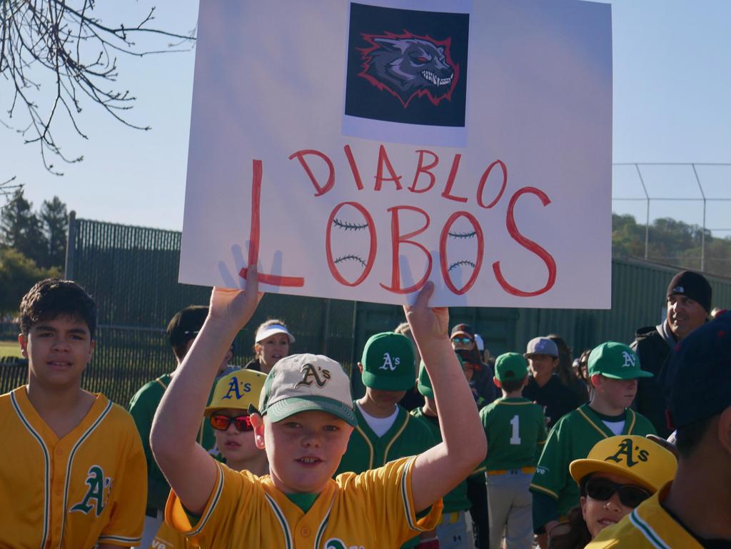 Walnut Creek Little League