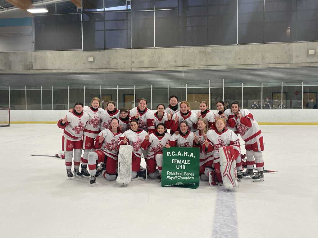 Team Accomplishments