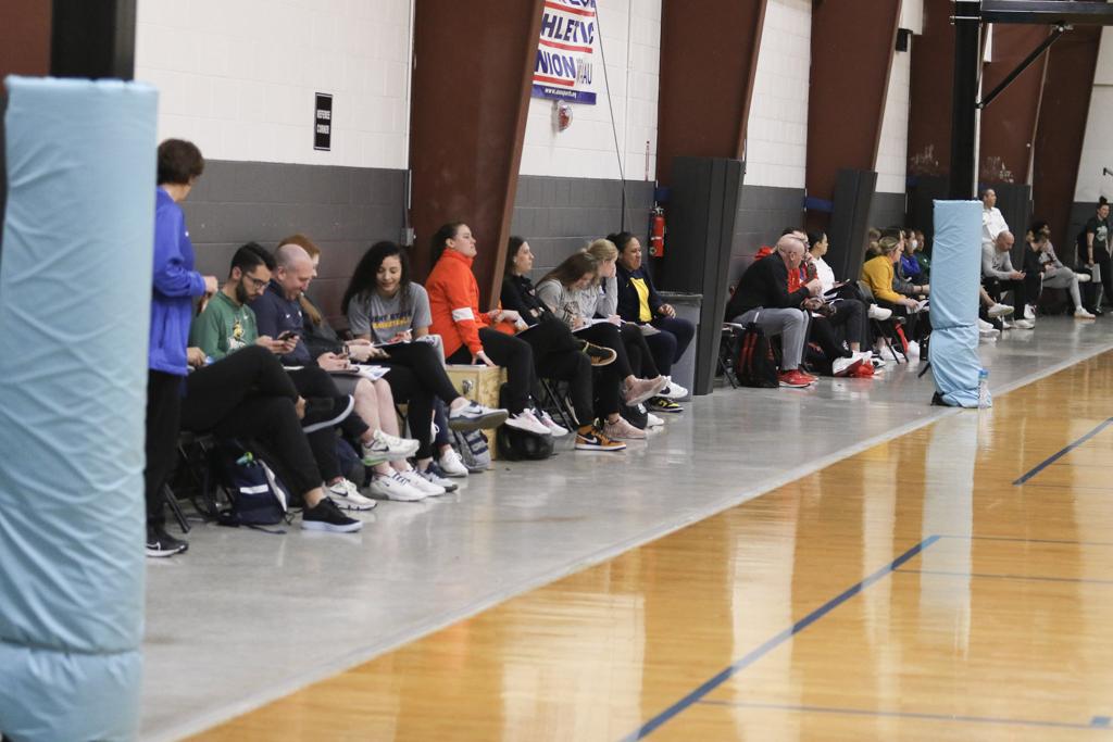 She Hoops Basketball