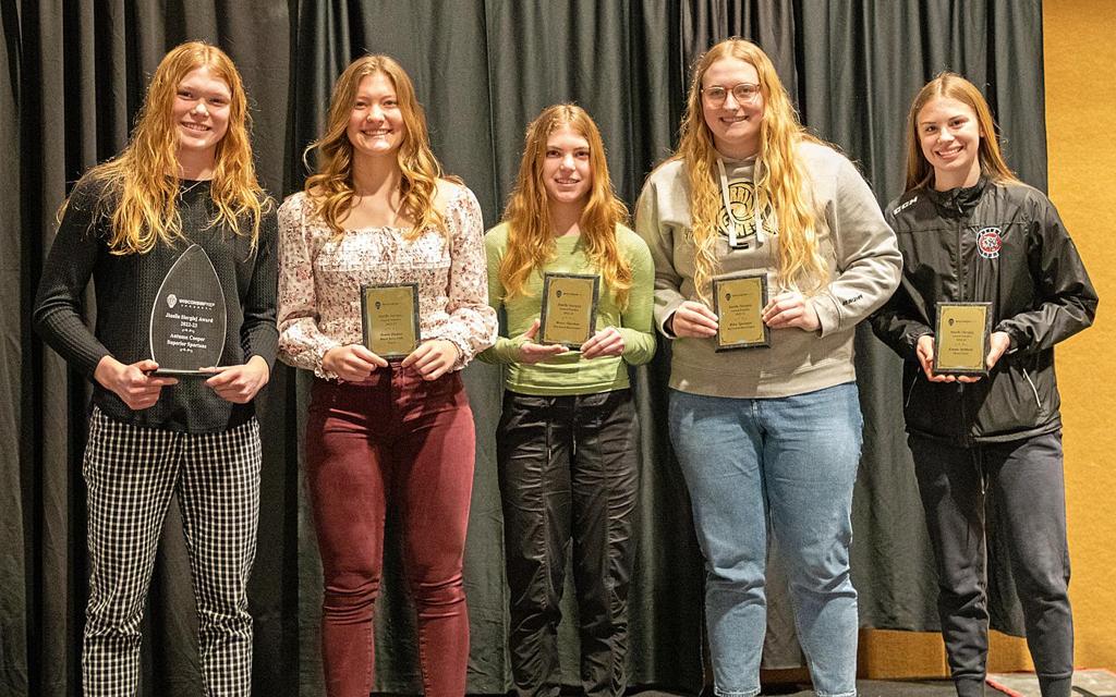 2023 Wisconsin Prep Hockey Awards