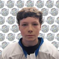 Pro Hockey '11 (North America) - 2023 WSI 11 Elite Preliminary Round ...