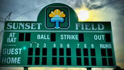 Local Field Information